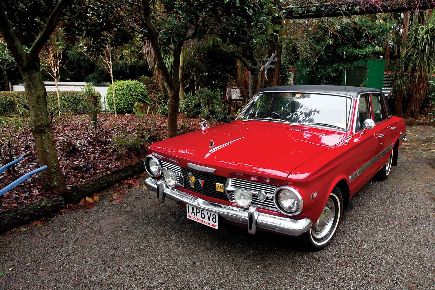 Stephen Mitchell's incredibly rare 1965 Chrysler Valiant V8 | New ...