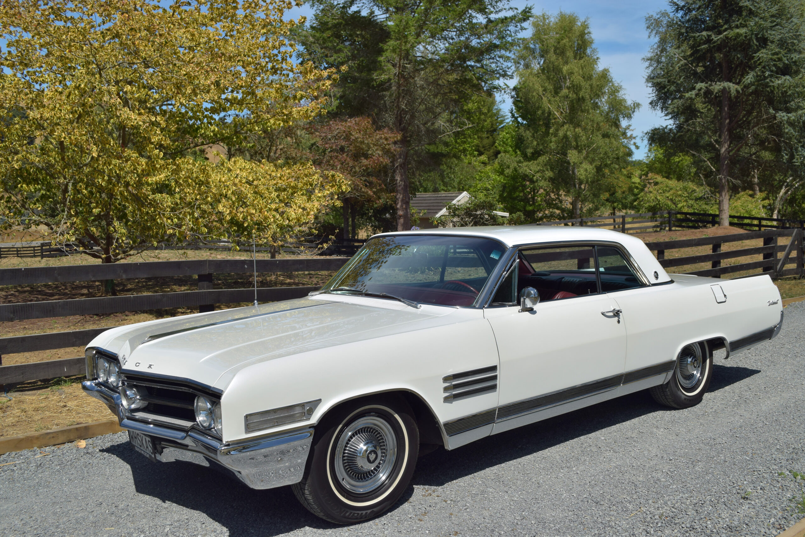 Formula Ford One Cool Cat | New Zealand Classic Car